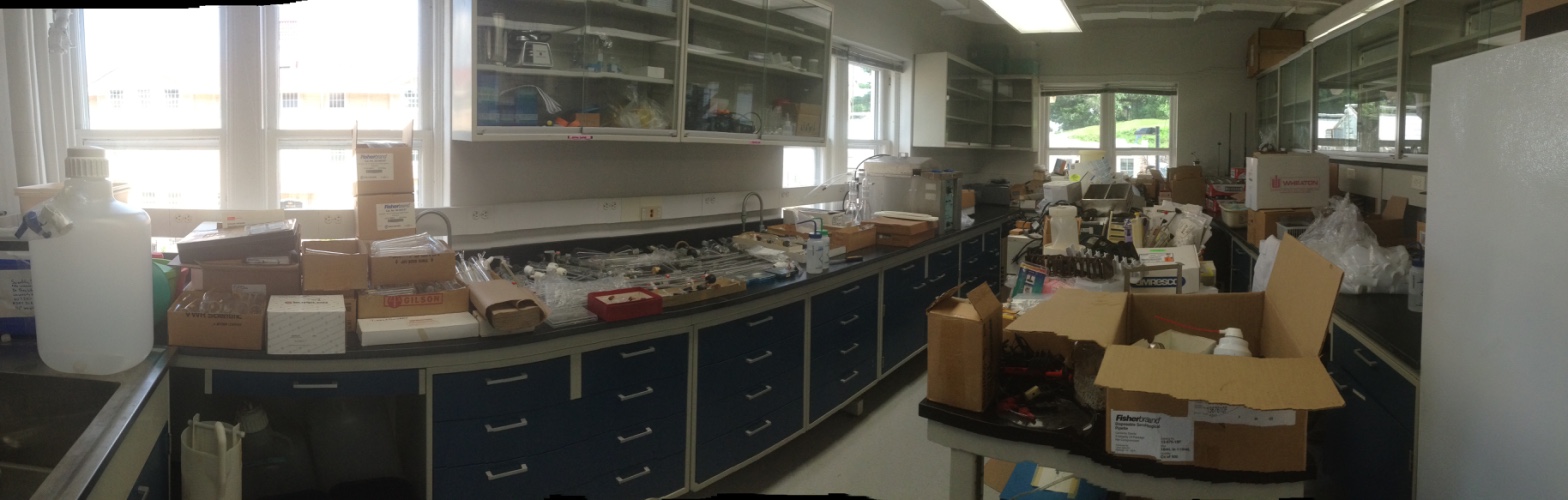 2020 Year Update – Whitman Lab